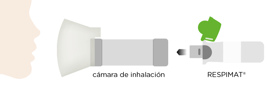Las 7 diferencia entre un inhalador activo y uno de polvo seco ...