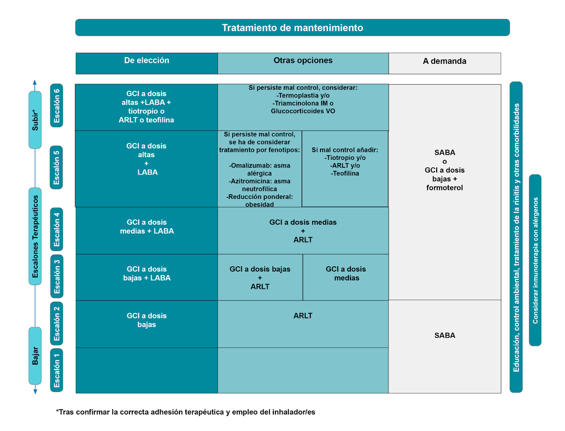 Avances en Respiratorio | Tratamiento del asma. Médicos