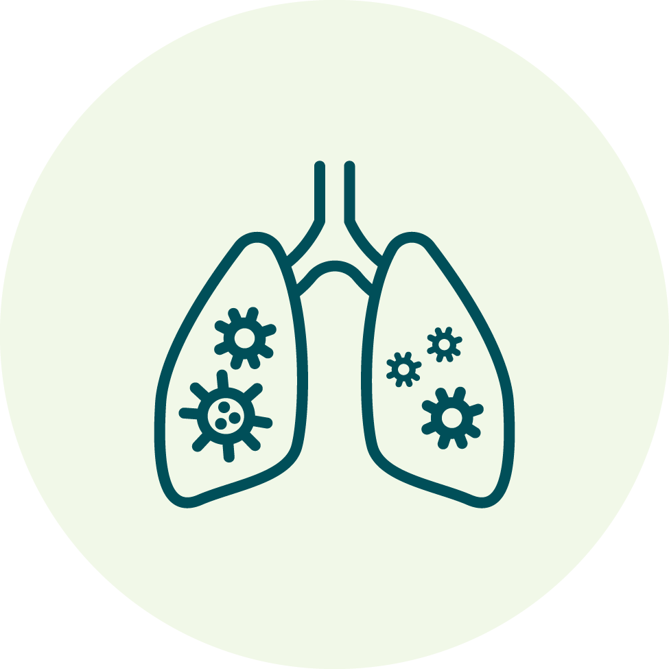 Paciente exacerbador en la EPOC | Avances en Respiratorio