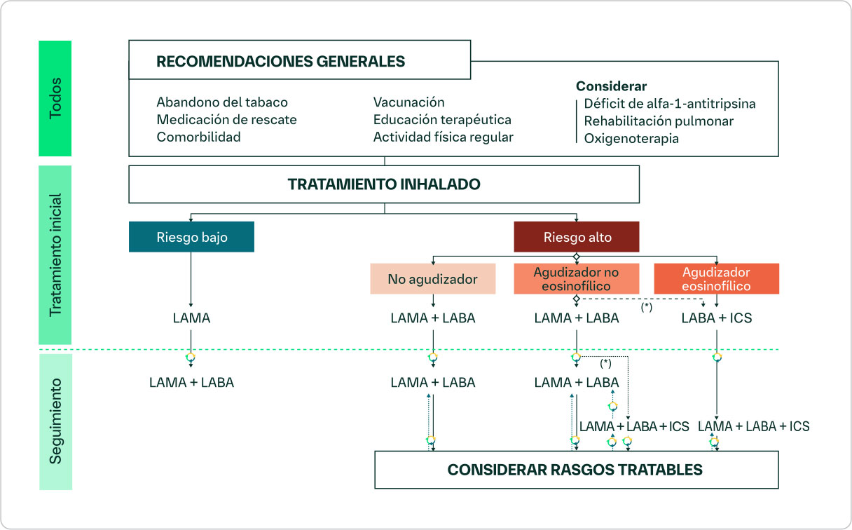 Actualización en paciente exacerbador con EPOC en 10 minutos | Avances ...