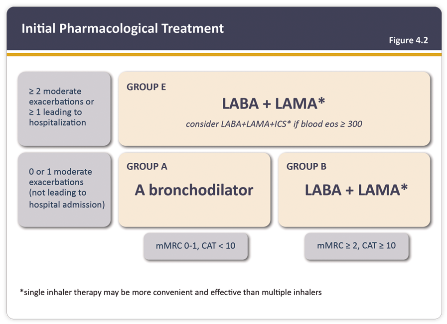 ¿Qué recomiendan las guías Gold y Gesepoc para EPOC? | Avances en ...