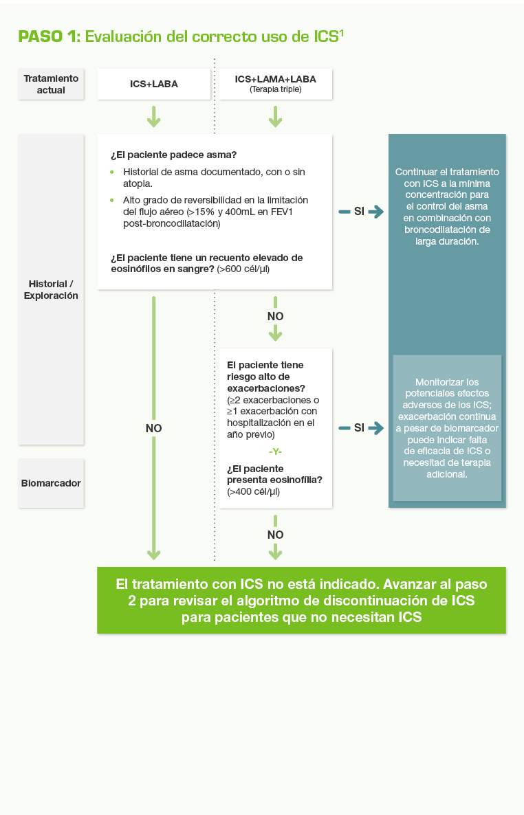 Protocolos y recomendaciones sobre asma, EPOC y FPI | Avances en Respiratorio